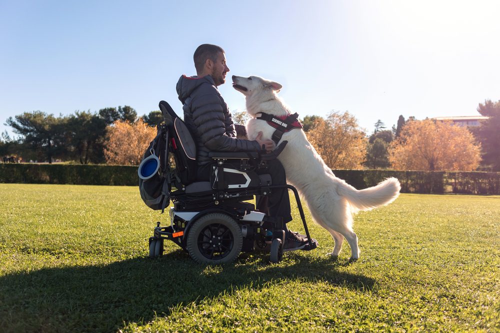 Service Dog Laws | Locals Laws and the ADA