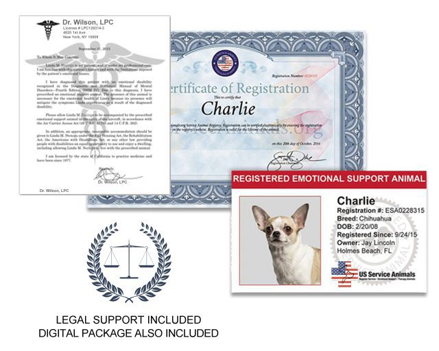 Top 3 Emotional Support Animal Letter Should Have Black Cat White Dog 
