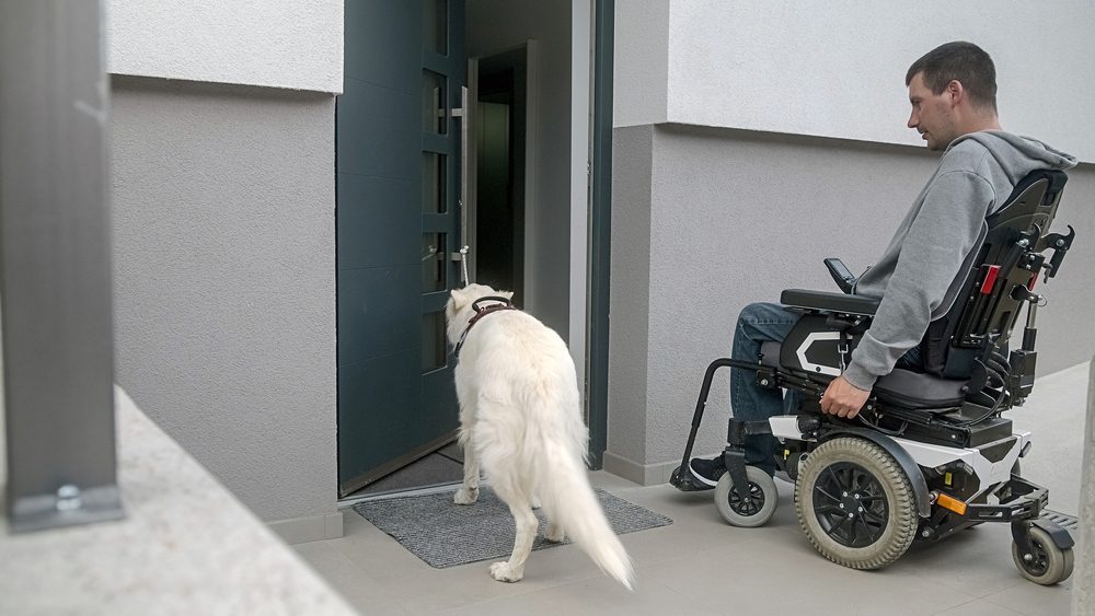 Service Dog for Mobility | A Helping Set of Paws