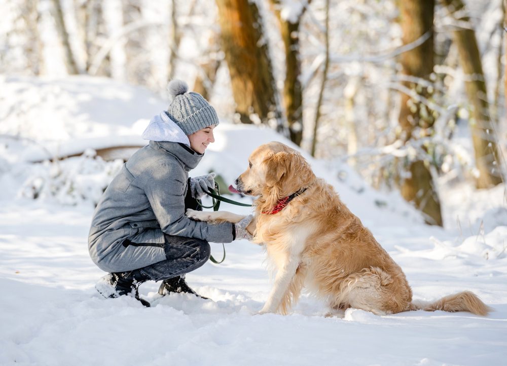 Companion Dog | What Is a Compainion Dog & Who Needs One