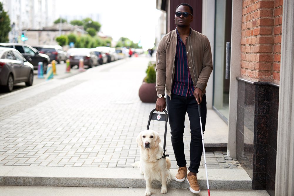 Where To Get A Service Dog And How To Afford It US Service Animals