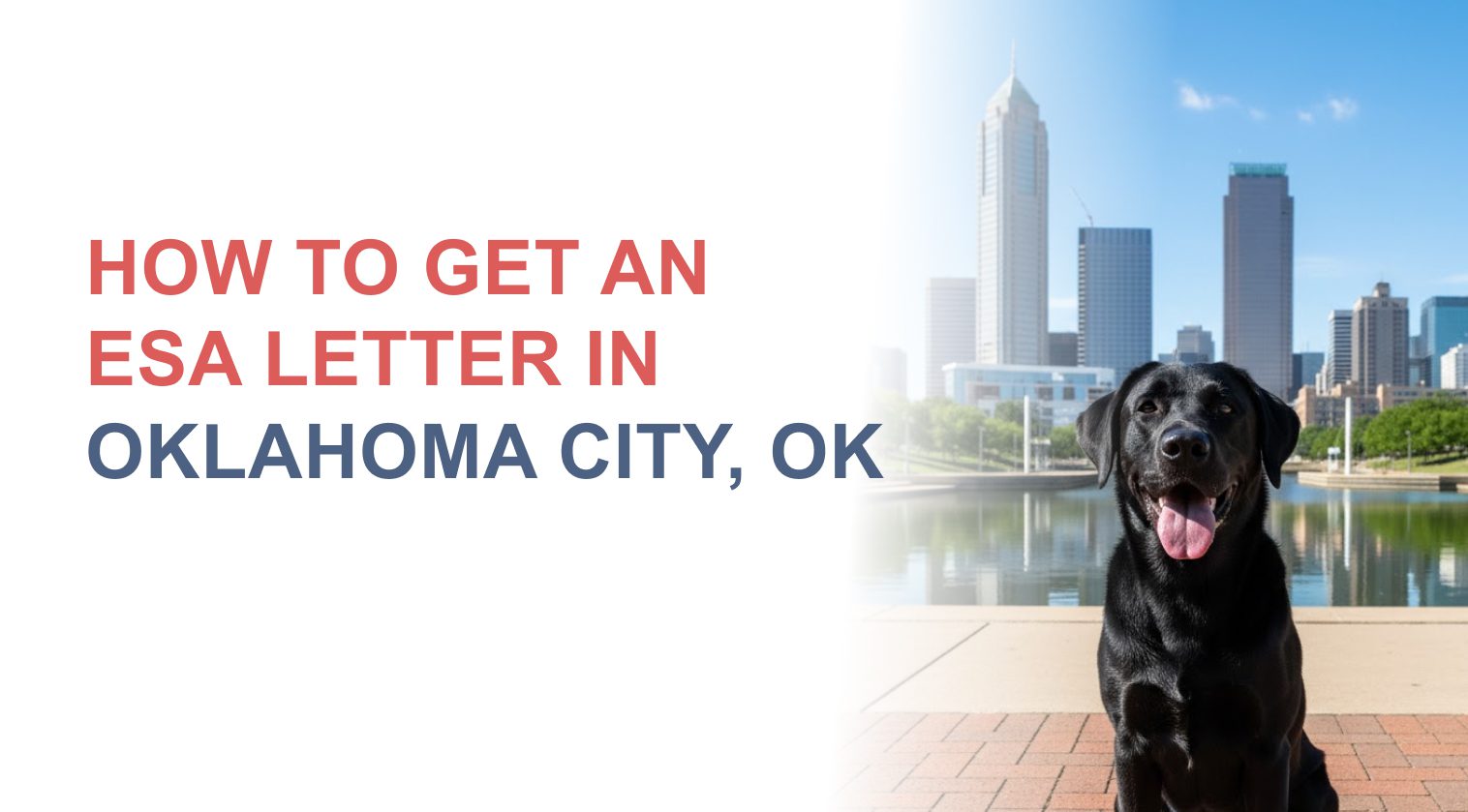 How to Get an Emotional Support Animal (ESA) Letter in Oklahoma City