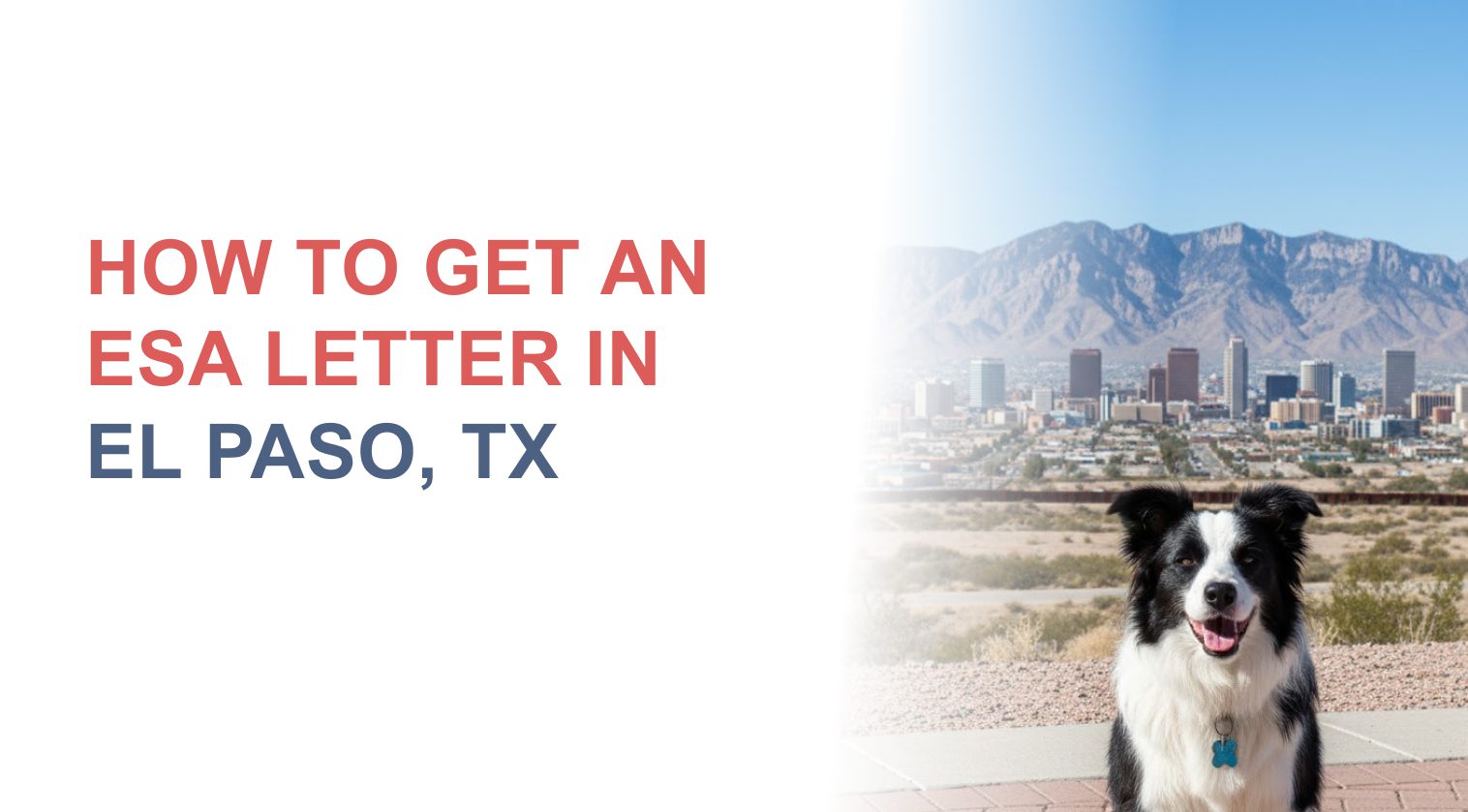 How to Get an Emotional Support Animal (ESA) Letter in El Paso