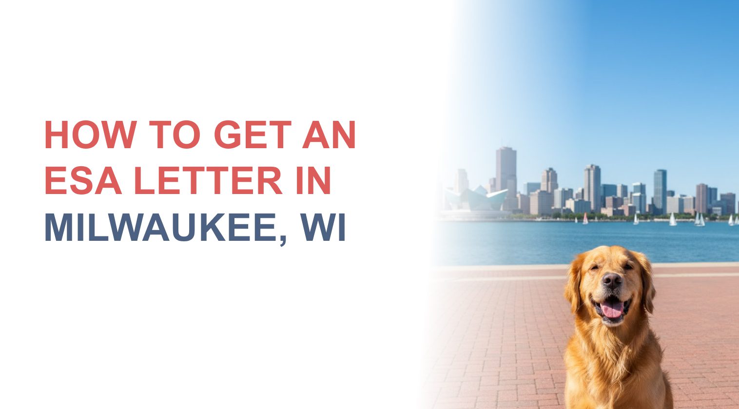 How to Get an Emotional Support Animal (ESA) Letter in Milwaukee