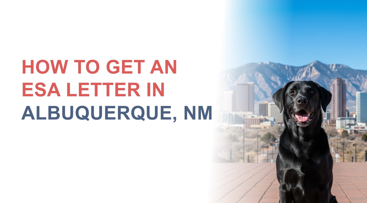 How to Get an Emotional Support Animal (ESA) Letter in Albuquerque