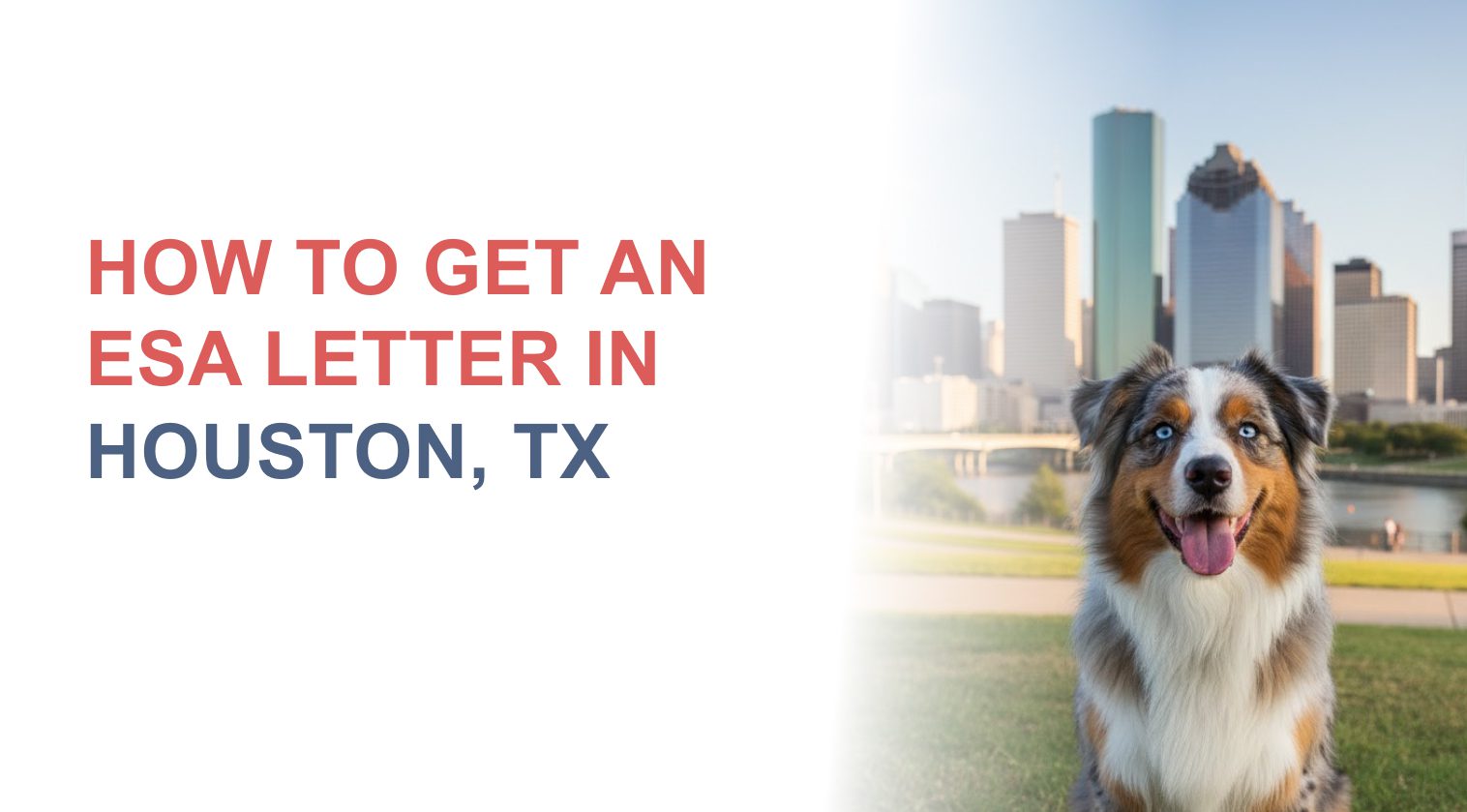 How to Get an Emotional Support Animal (ESA) Letter in Houston