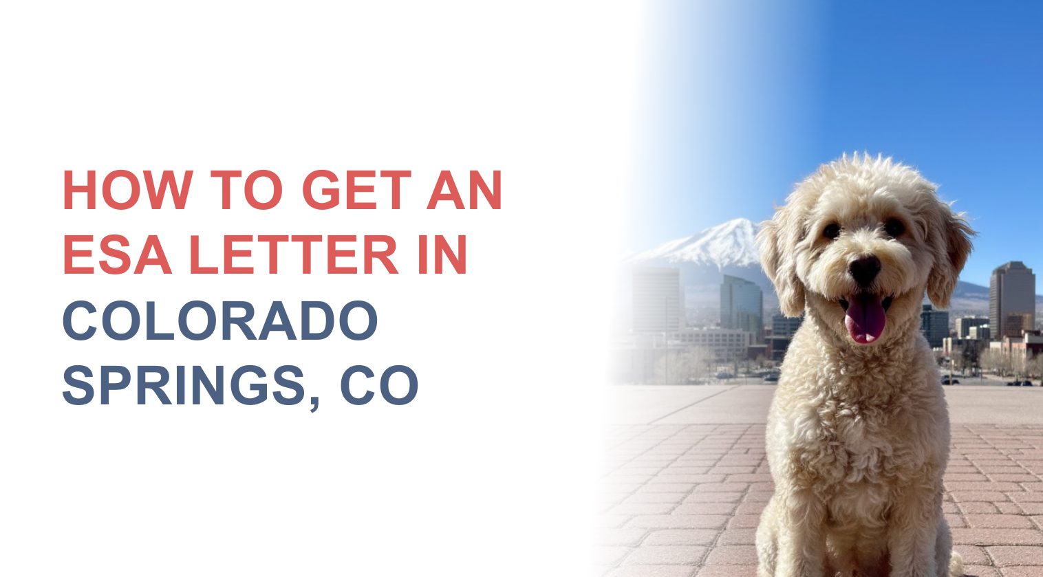 How to Get an Emotional Support Animal (ESA) Letter in Colorado Springs, CO