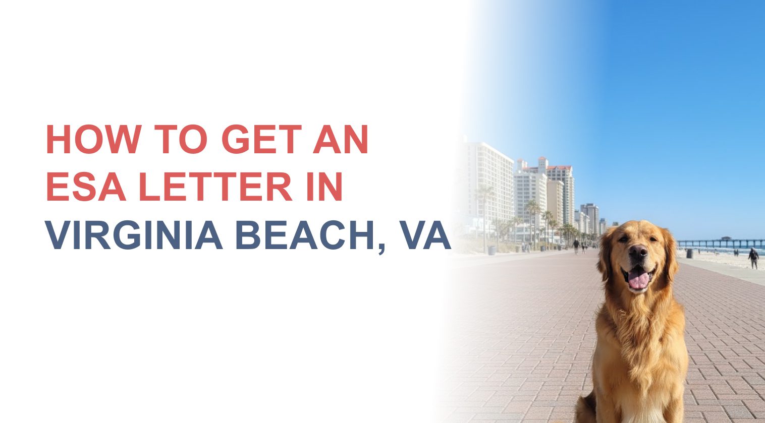 How to Get an Emotional Support Animal (ESA) Letter in Virginia Beach