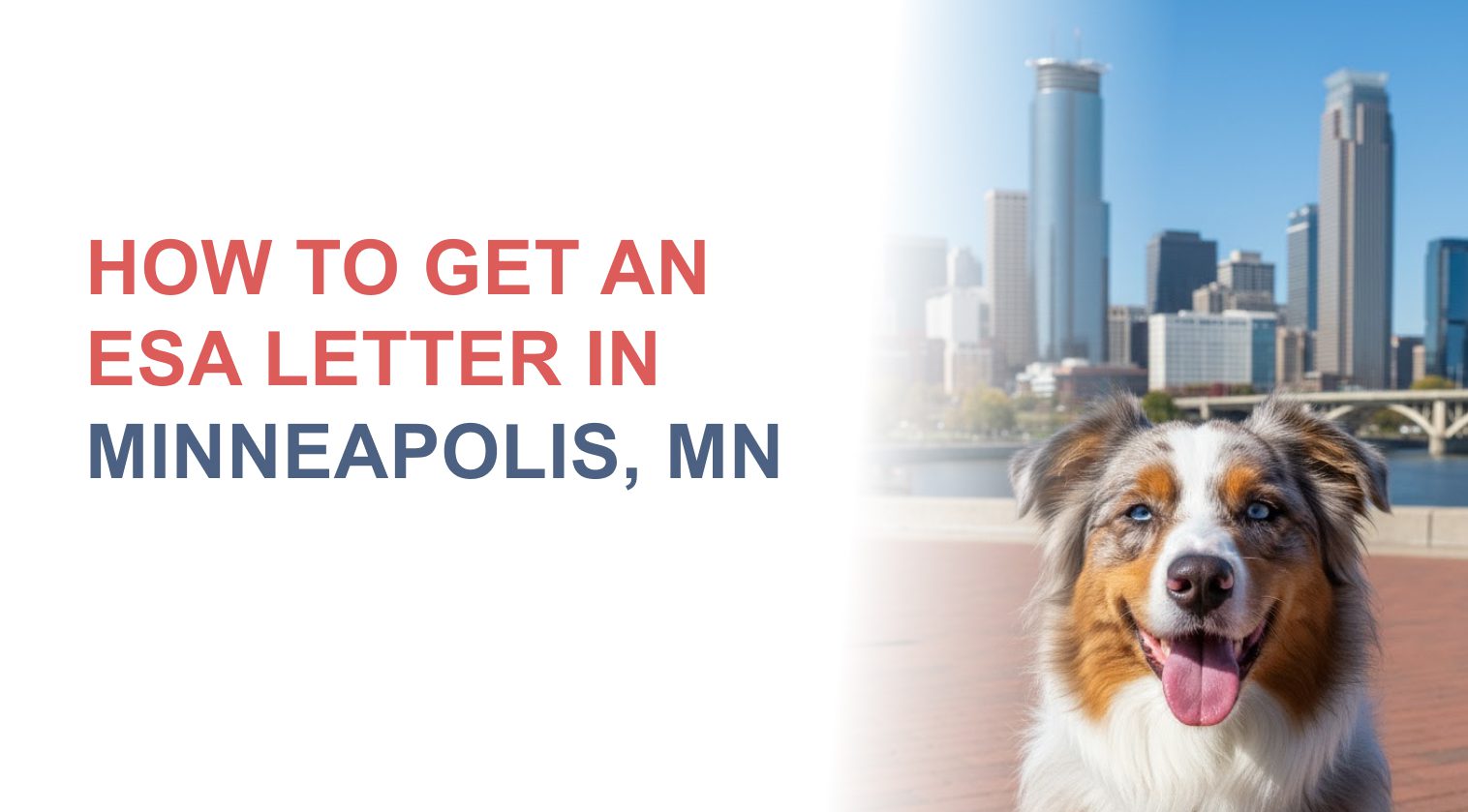 How to Get an Emotional Support Animal (ESA) Letter in Minneapolis