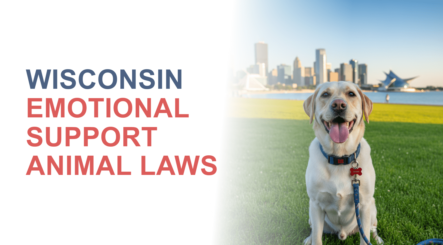 Wisconsin Emotional Support Animal Laws – Guide to Wisconsin ESA Laws