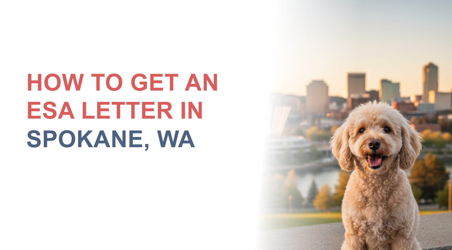 How to Get an Emotional Support Animal (ESA) Letter in Spokane