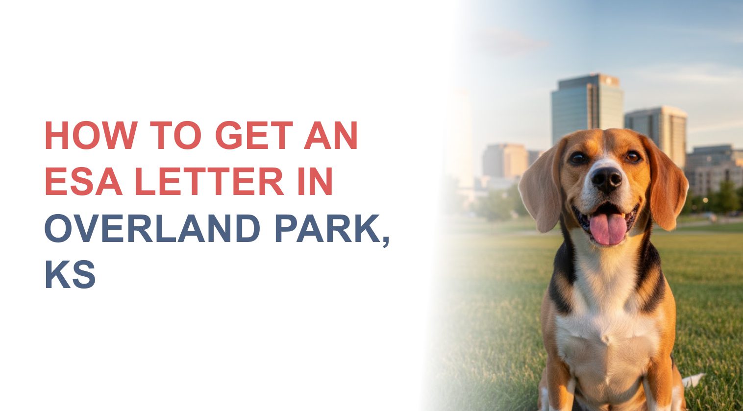 How to Get an Emotional Support Animal (ESA) Letter in Overland Park