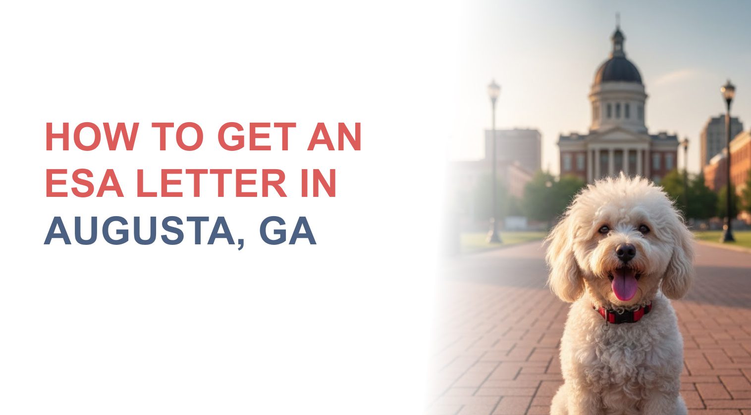How to Get an Emotional Support Animal (ESA) Letter in Augusta, GA