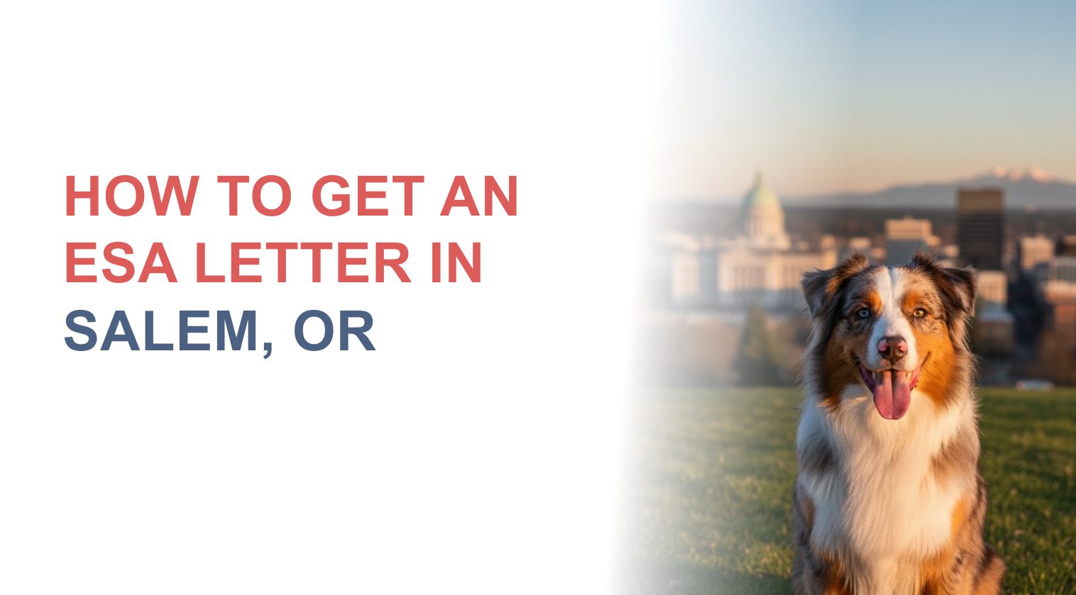 How to Get an Emotional Support Animal (ESA) Letter in Salem