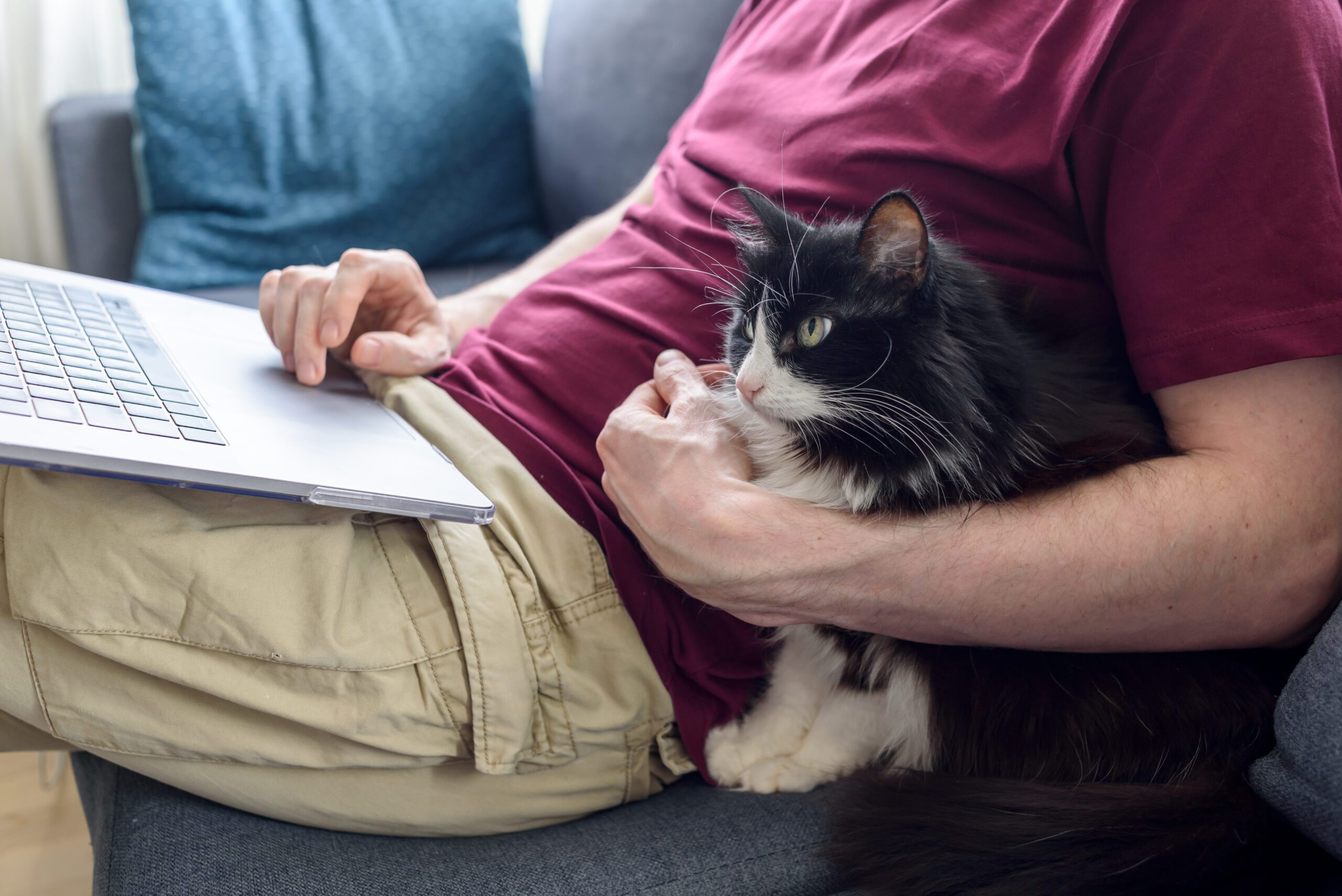 How to Get an Emotional Support Animal (ESA) Letter in Gulfport