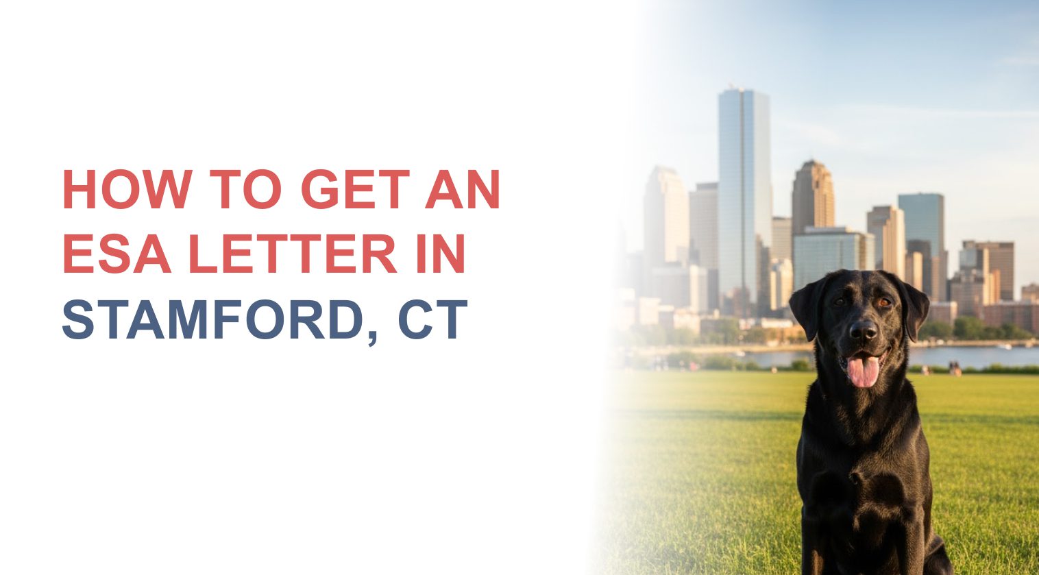 How to Get an Emotional Support Animal (ESA) Letter in Stamford, CT