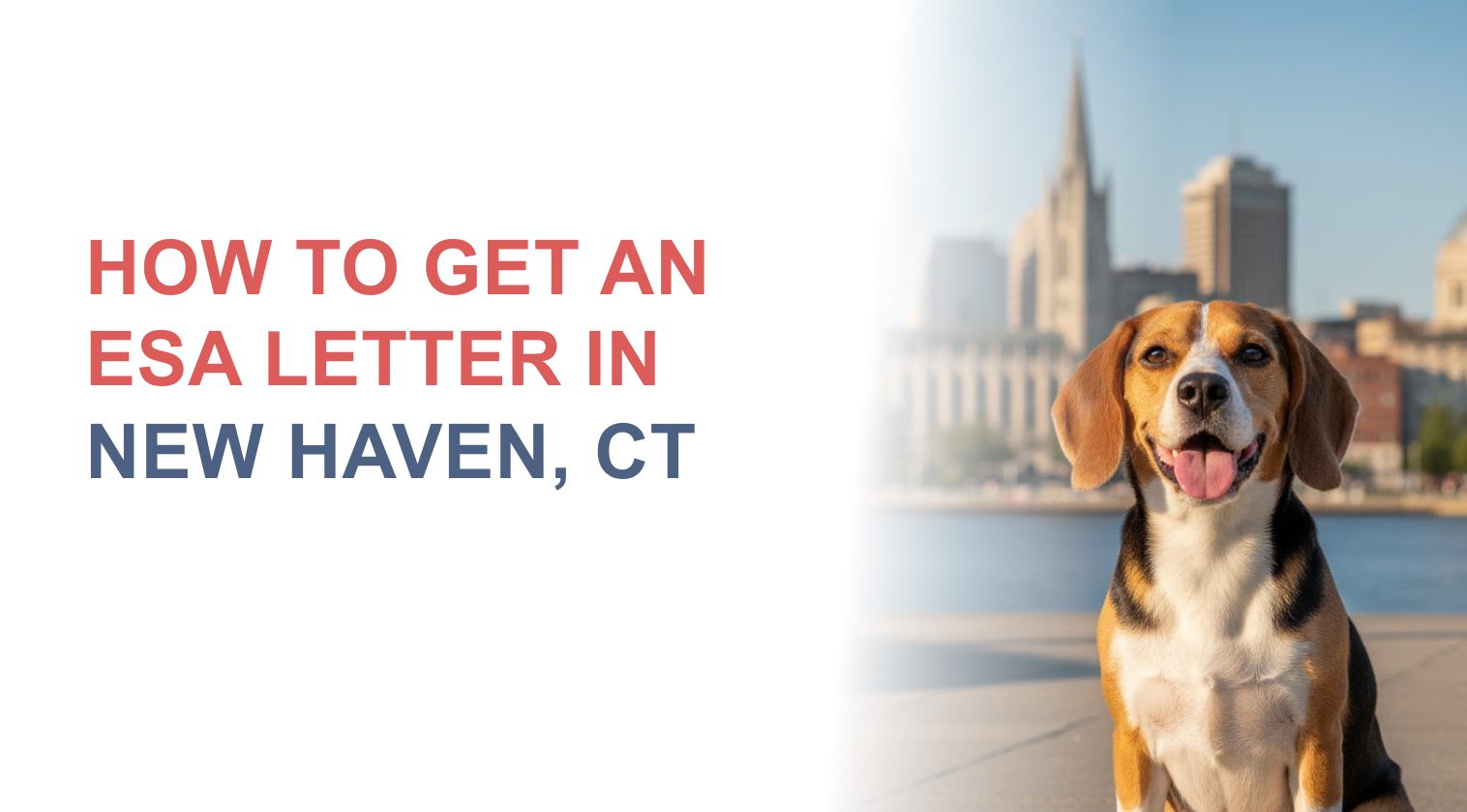 How to Get an Emotional Support Animal (ESA) Letter in New Haven, CT