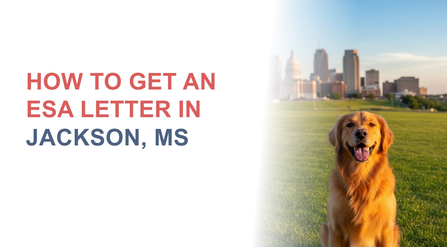 How to Get an Emotional Support Animal (ESA) Letter in Jackson