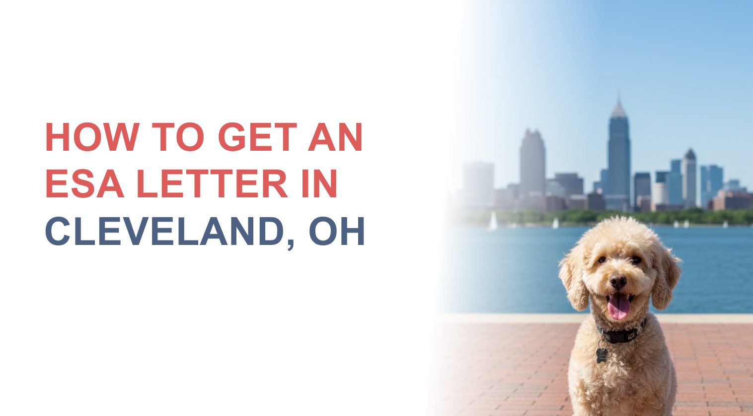 How to Get an Emotional Support Animal (ESA) Letter in Cleveland