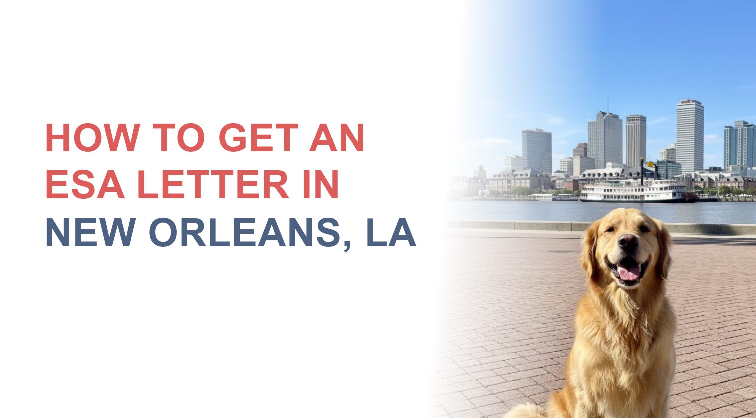 How to Get an Emotional Support Animal (ESA) Letter in New Orleans