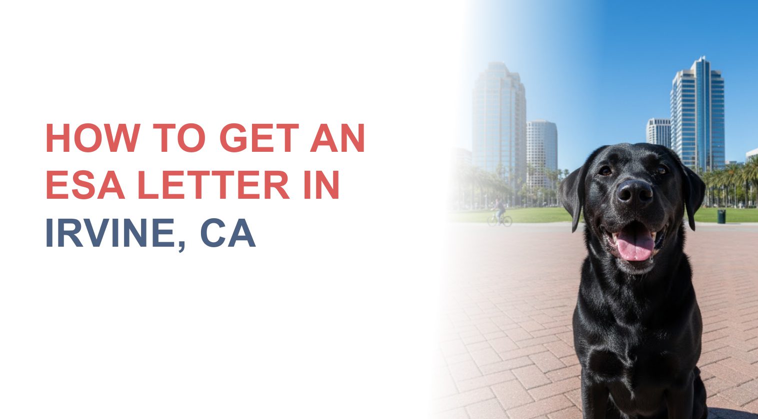 How to Get an Emotional Support Animal (ESA) Letter in Irvine, CA