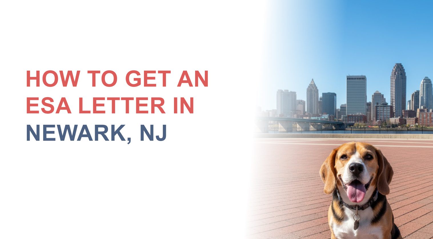 How to Get an Emotional Support Animal (ESA) Letter in Newark