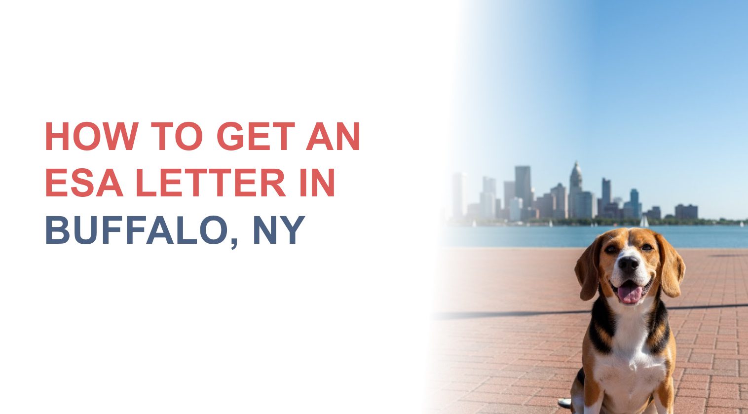 How to Get an Emotional Support Animal (ESA) Letter in Buffalo