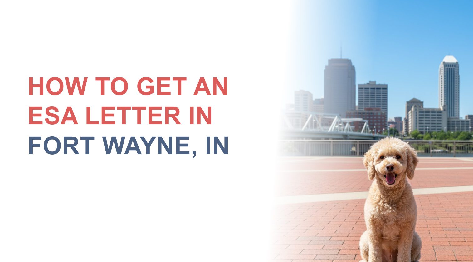 How to Get an Emotional Support Animal (ESA) Letter in Fort Wayne, IN