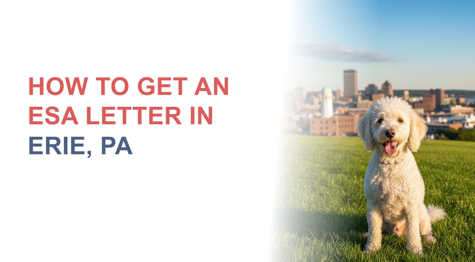 How to Get an Emotional Support Animal (ESA) Letter in Erie