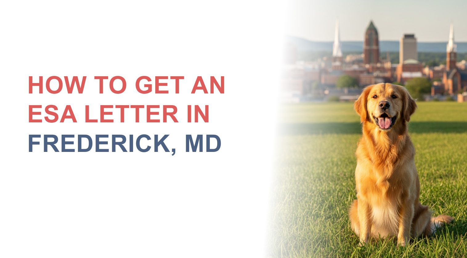 How to Get an Emotional Support Animal (ESA) Letter in Frederick