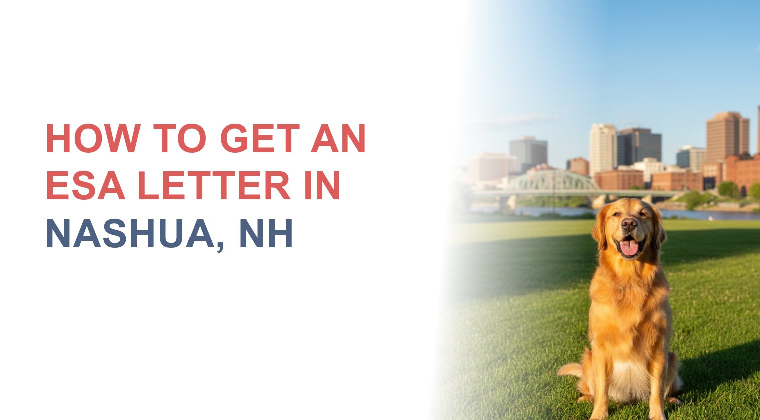 How to Get an Emotional Support Animal (ESA) Letter in Nashua